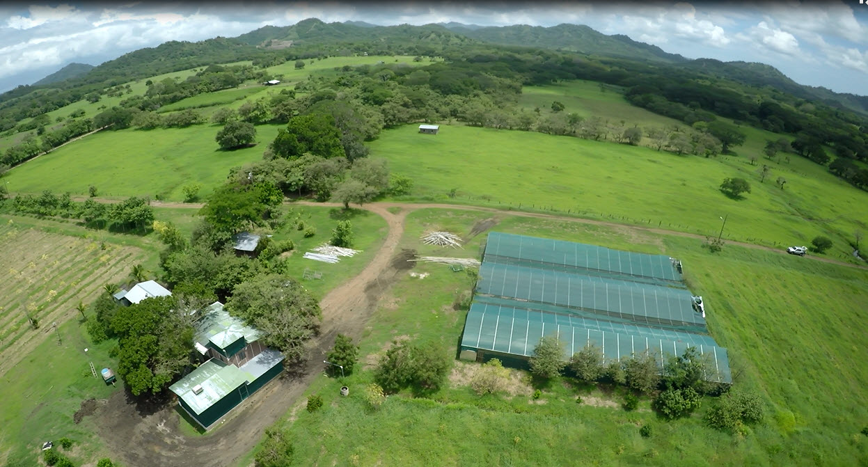 73 HECTARE FARM | Costa Rica Real Estate Agent | Alain Mouquet